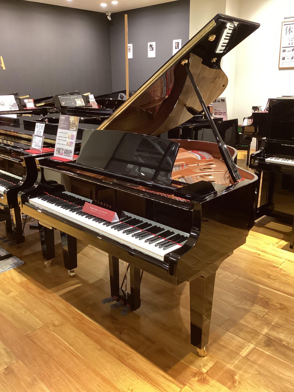 ヤマハ トランスアコースティックピアノ「TA3シリーズ」「TC3シリーズ」発売中！｜島村楽器 ピアノショールーム市川コルトンプラザ店