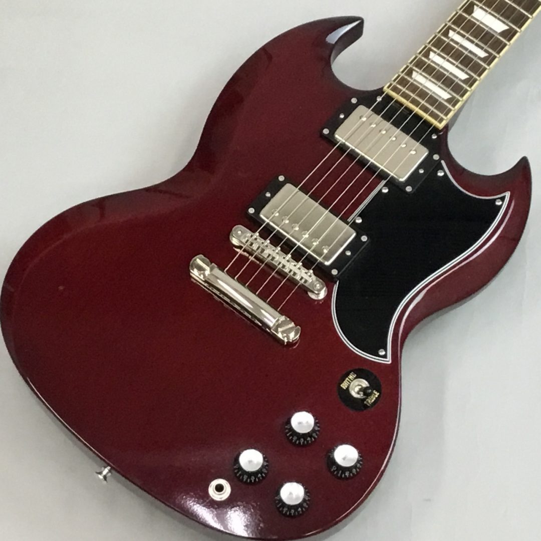 【商品紹介】EDWARDS (エドワーズ)E-SG-120LT2(Used）｜島村楽器 アミュプラザ博多店