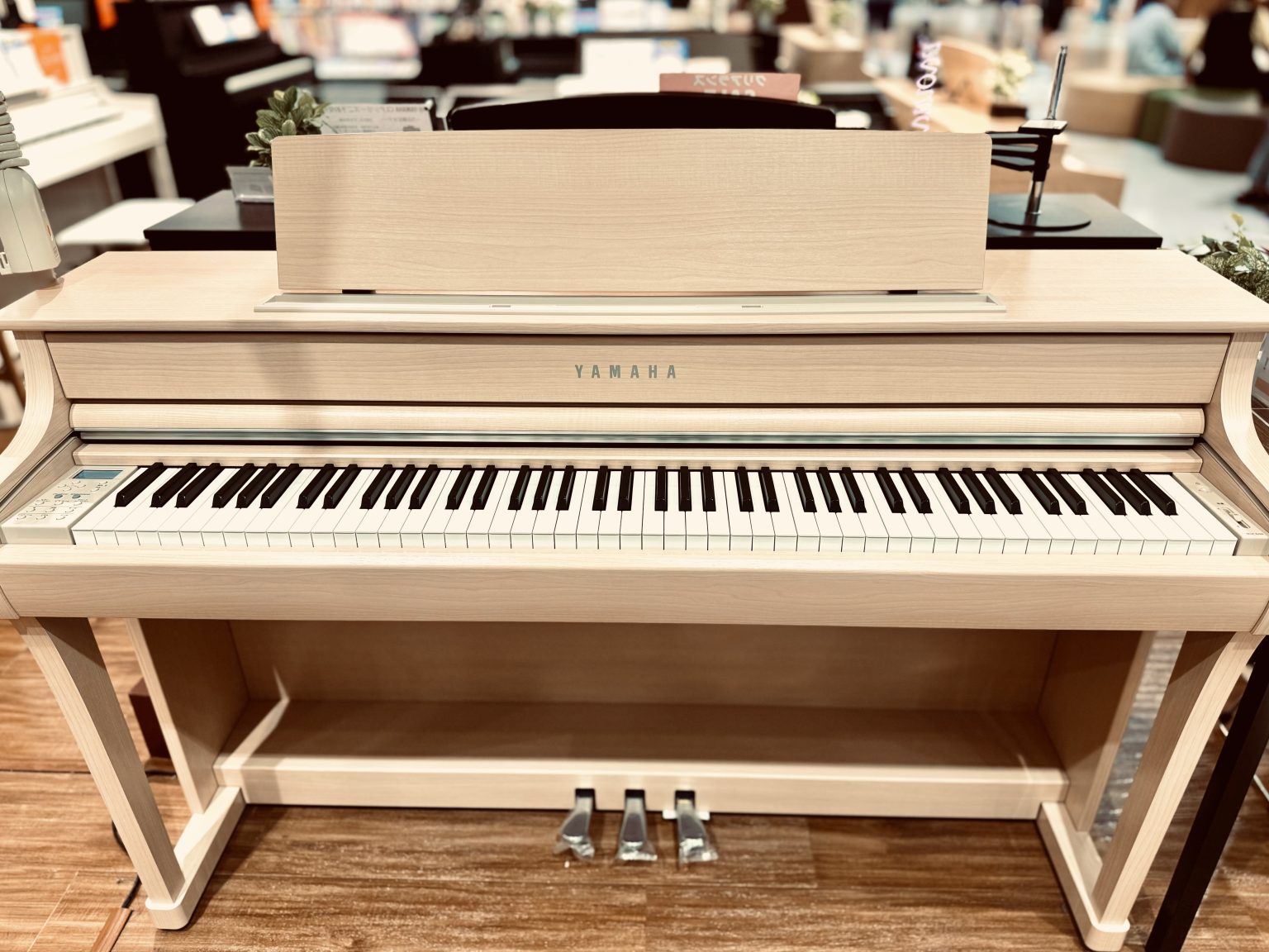 SCLP-8450（ヨーロピアンメイプル）が入荷しました！｜島村楽器 イオンモール広島府中店