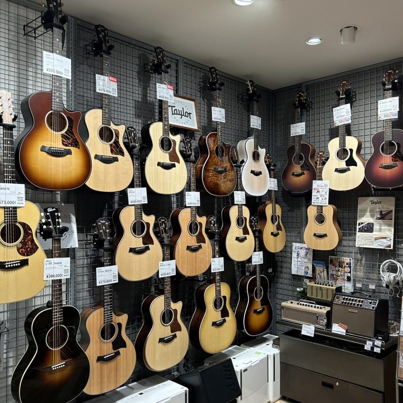 【Taylor Japan限定仕様】新製品入荷のお知らせ｜島村楽器 錦糸町パルコ店