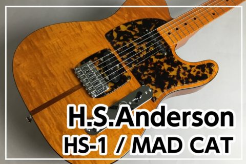 H.S.Anderson HS-1 / MAD CAT入荷!! (H.S.アンダーソン)｜島村楽器 イオンモール八幡東店