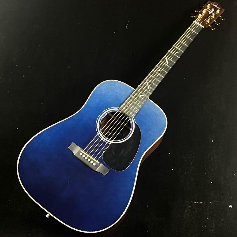 【入荷情報】The Eagle/STD Type D (B-GRD) 【Deviser One Day Guitar Show 2023選定品】｜島村楽器 ミ・ナーラ奈良店