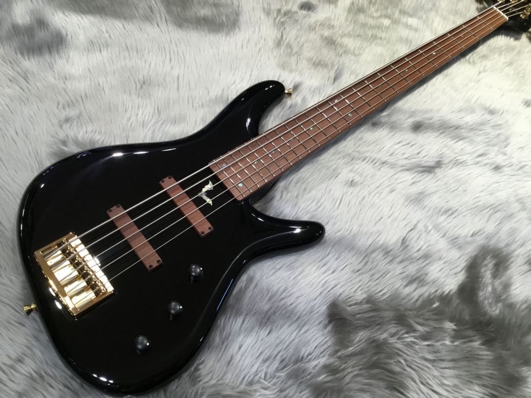 国産ハイエンドブランド 大人気のSugi Bass岡崎店ラインナップのご紹介！｜島村楽器 イオンモール岡崎店