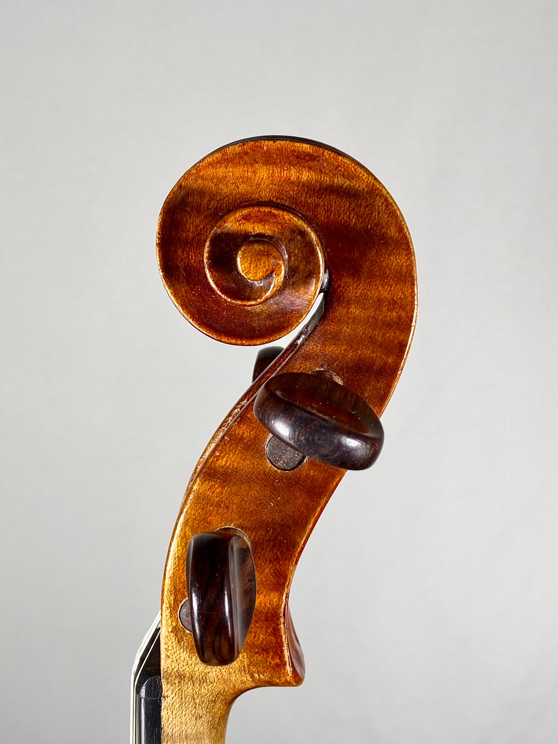 Laboratorio Calace, Italy – Napoli, 1930 ナポリ・スクール ラボラトリオ・カラーチェ｜島村楽器 ...