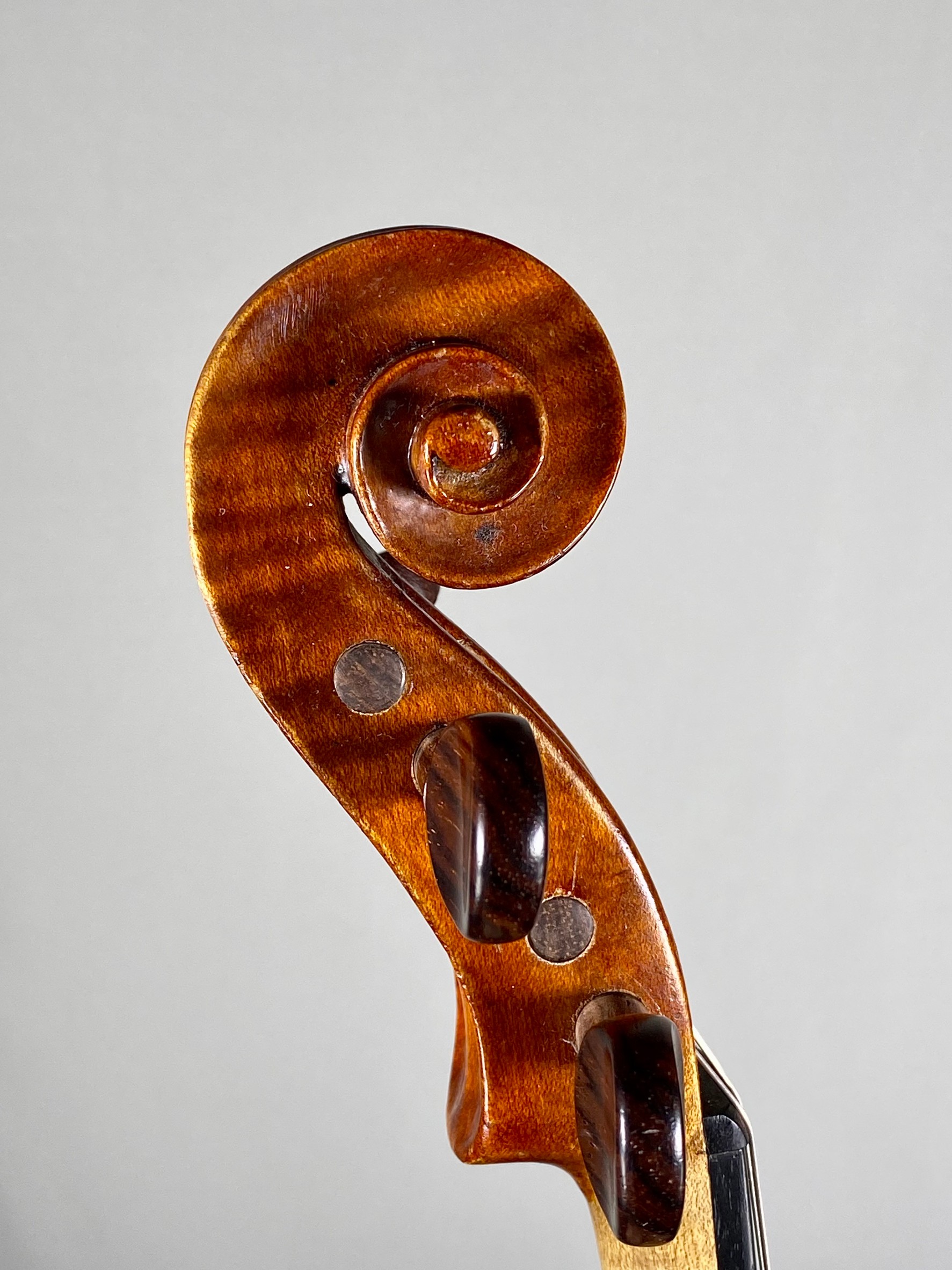 Laboratorio Calace, Italy – Napoli, 1930 ナポリ・スクール ラボラトリオ・カラーチェ｜島村楽器 ...