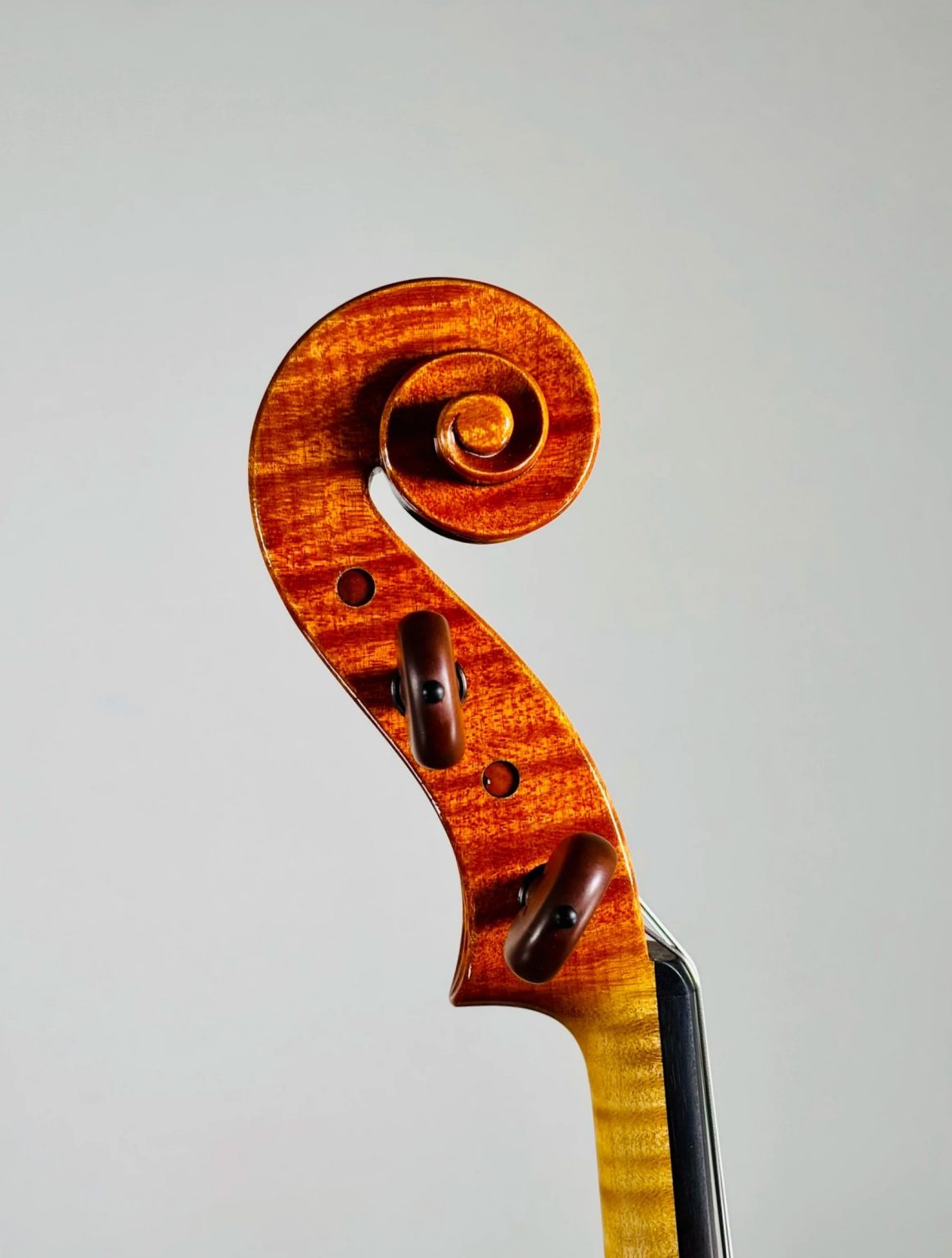 ＜Viola＞ Teppei Fujita, Japan – Tokyo, 2025 ヴィオラ 藤田鉄平｜島村楽器 シマムラストリングス秋葉原