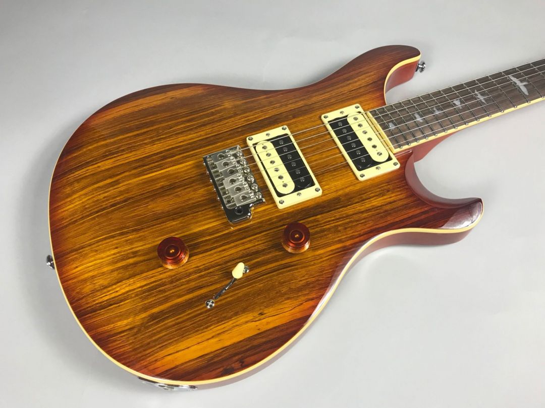 【入荷情報】Paul Reed Smith(PRS) – SE Custom24 Zebra ゼブラウッド｜島村楽器 イオンモール佐久平店